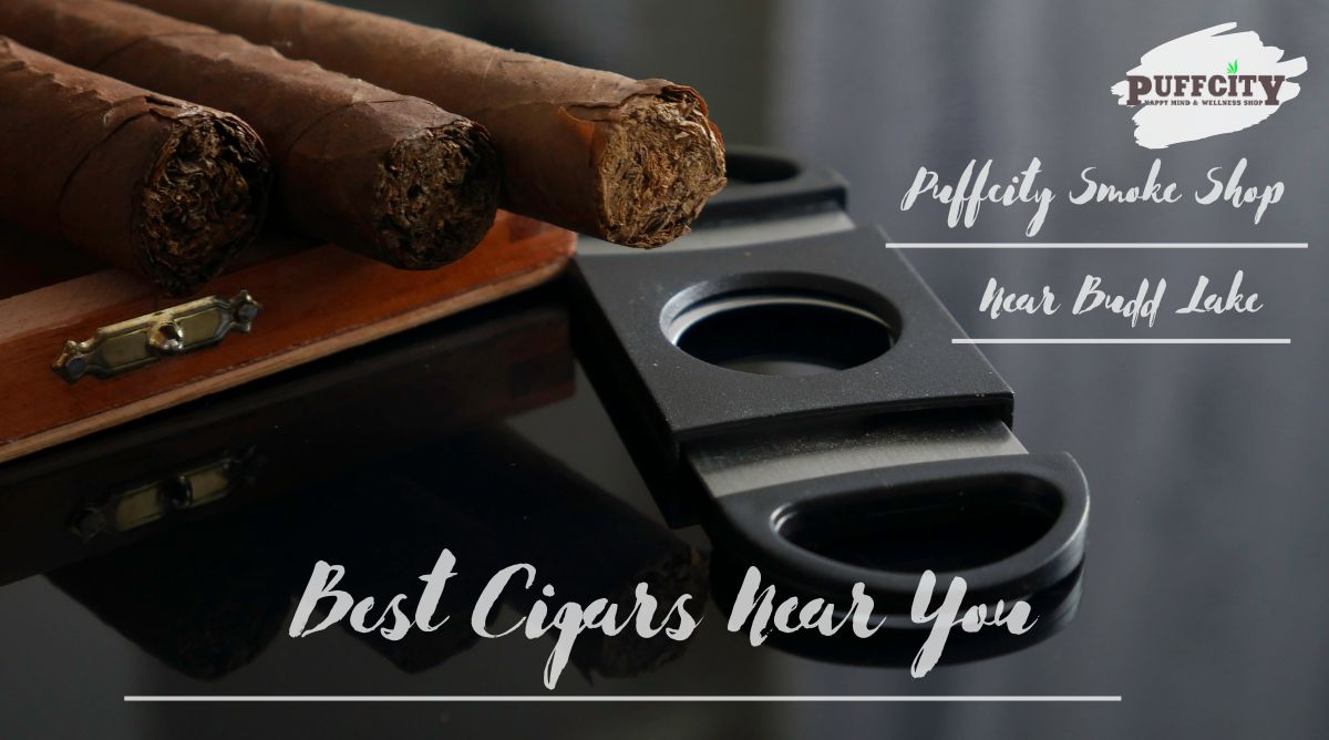 Best Cigars Near You That Light Up Your Life With Unique Flavors