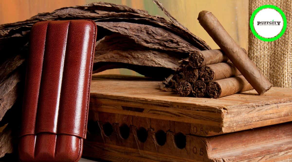 Cigar Near Mount Olive: Where to Indulge in Style